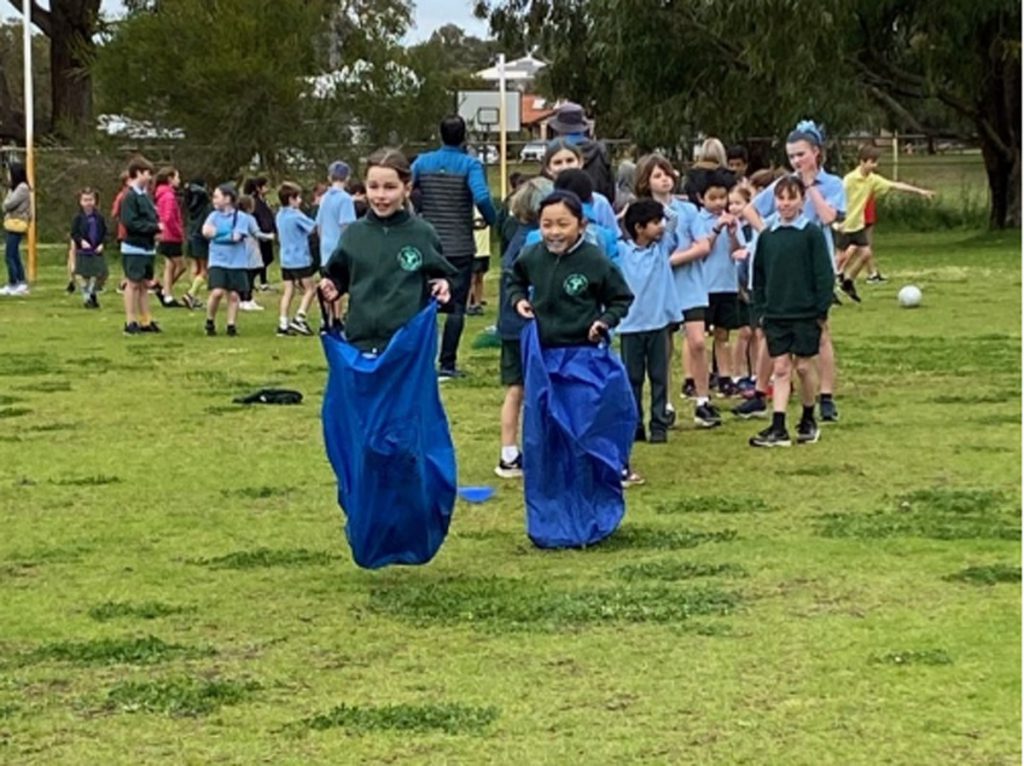 Faction Carnival - Woodlands Primary School