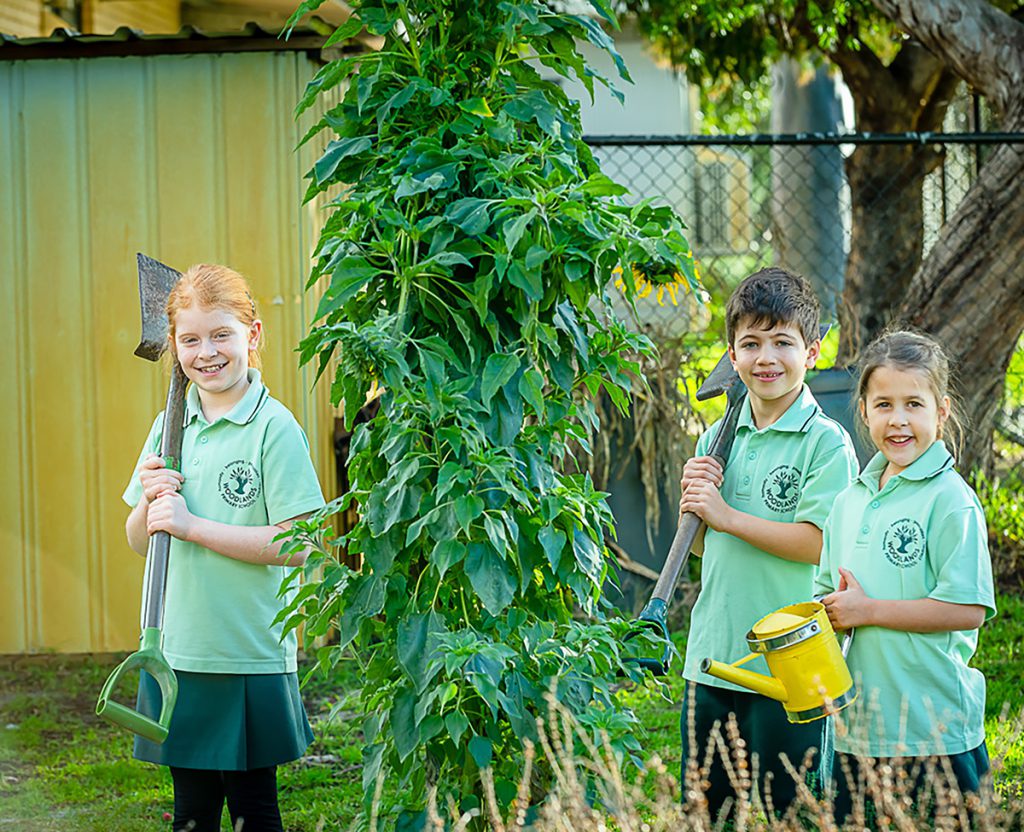 Our School - Woodlands Primary School