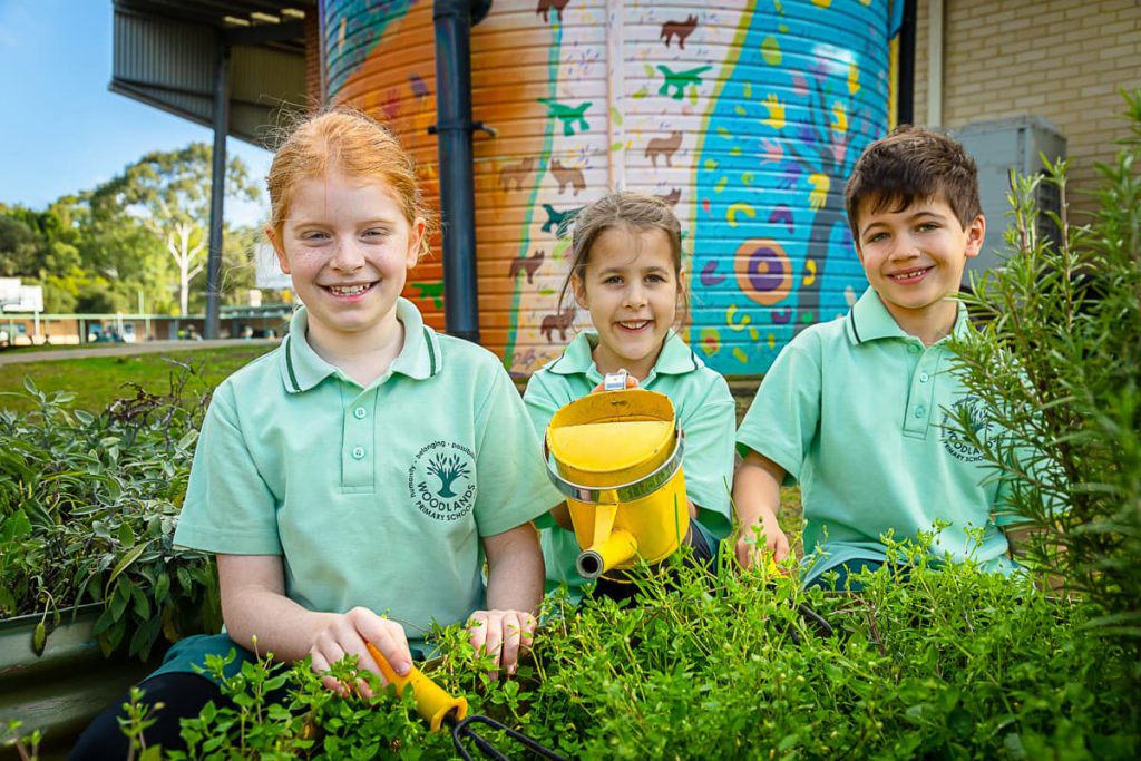 For Parents & Carers - Woodlands Primary School